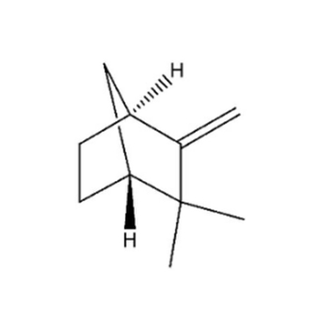 Camphene (CAS 79-92-5) | Intermediate for Fragrance, UV Coatings ...